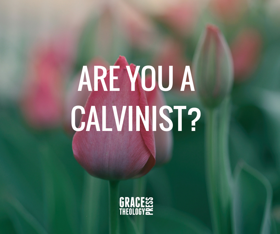 Are You a Calvinist? - Grace Theology Press